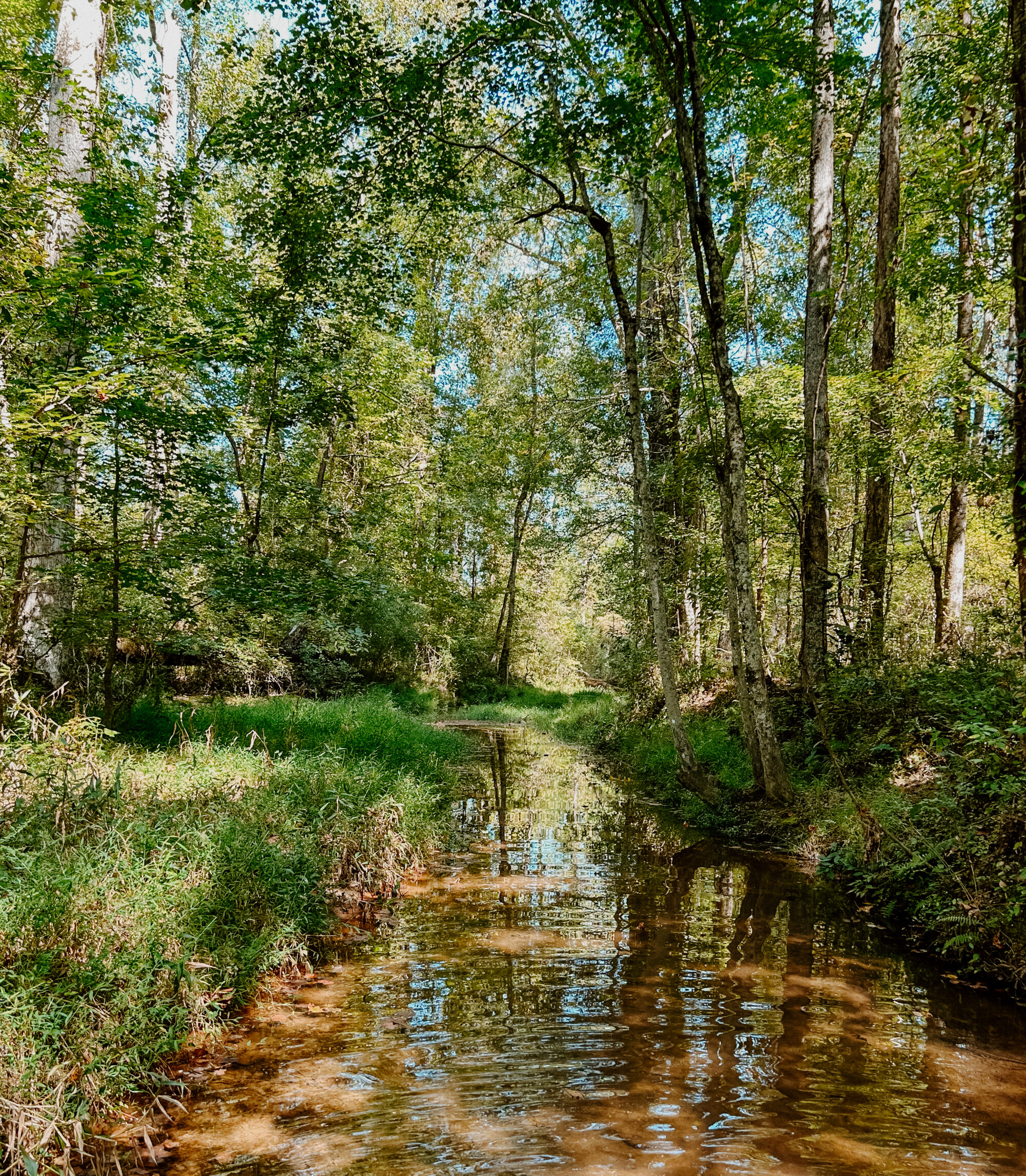 The Metanarrative of Scripture - Impact 360 Institute